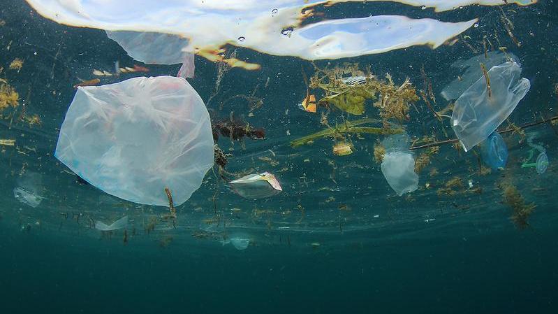 Zehn Flüsse schwemmen den Großteil Plastikmüll in die Weltmeere ...